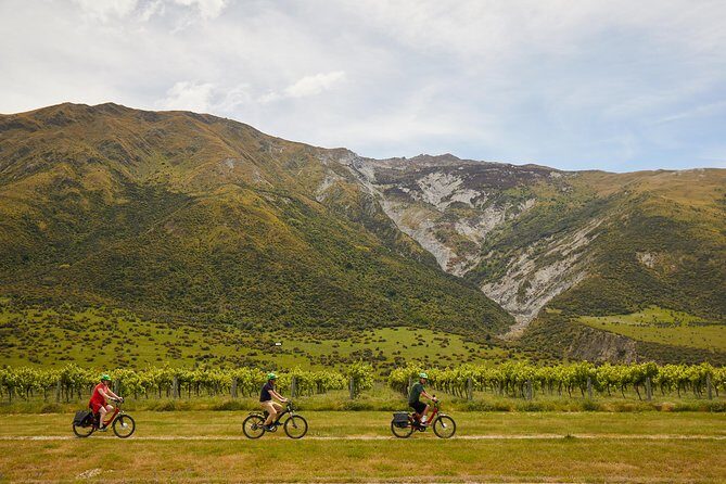 Queenstown Guided E-bike Wine Tour - Effortless Cruising on the Queenstown Trail