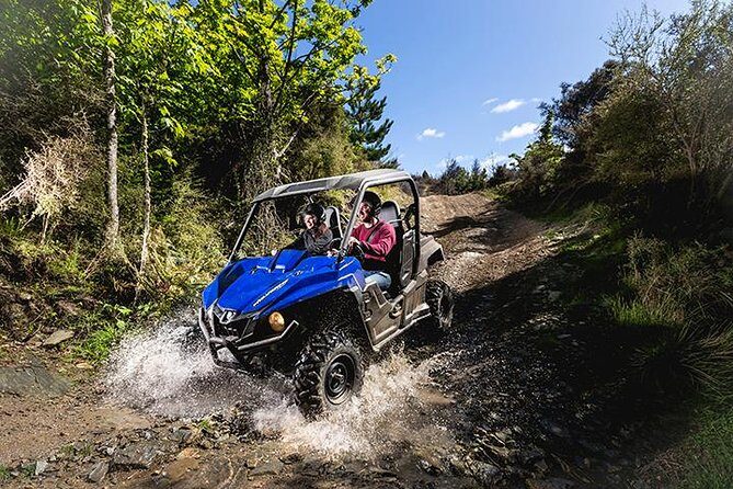 Queenstown Guided Self-Drive Buggy Tour - An In-Depth Look at the Queenstown Self-Drive Buggy Tour