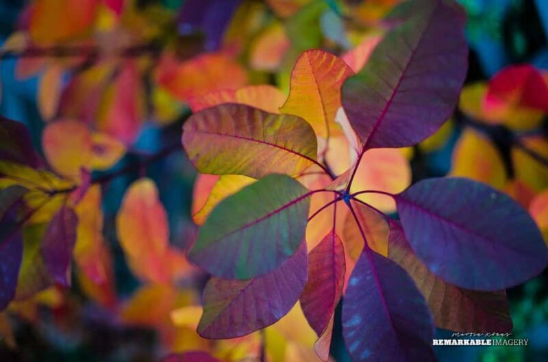 Queenstown: Half Day Private Photography Tour - The Sum Up