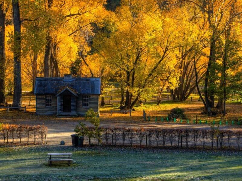 Queenstown: Highlights Tour with Wine Tasting - Practical Tips for Travelers