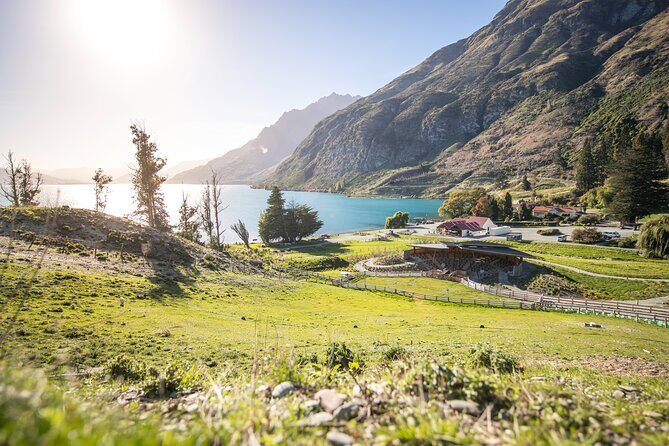 Queenstown Lake Cruise and Walter Peak Farm Adventure - The Itinerary: What to Expect on This Scenic Day Out
