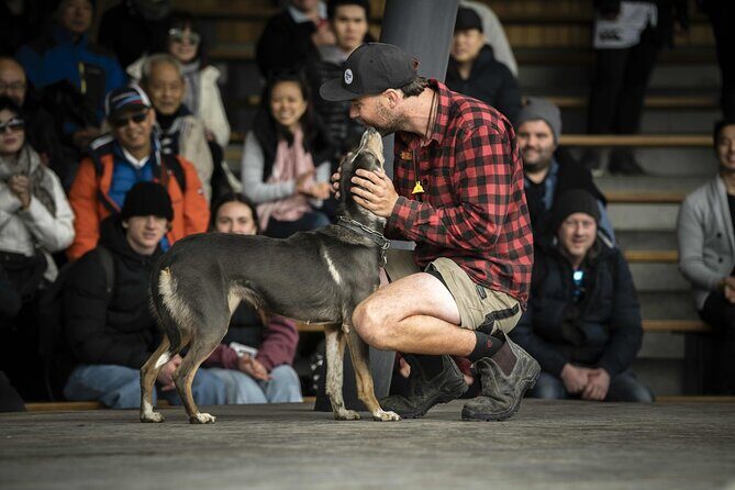 Queenstown Lake Cruise and Walter Peak Farm Adventure - Who Should Consider This Tour?