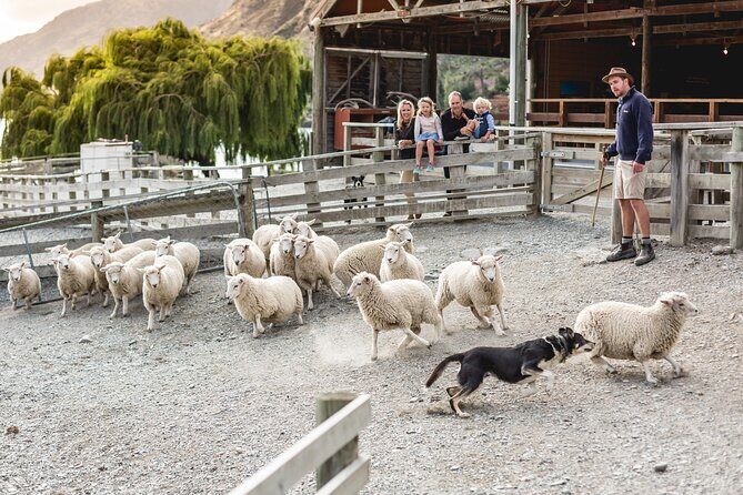 Queenstown Lake Cruise and Walter Peak Farm Adventure - FAQ