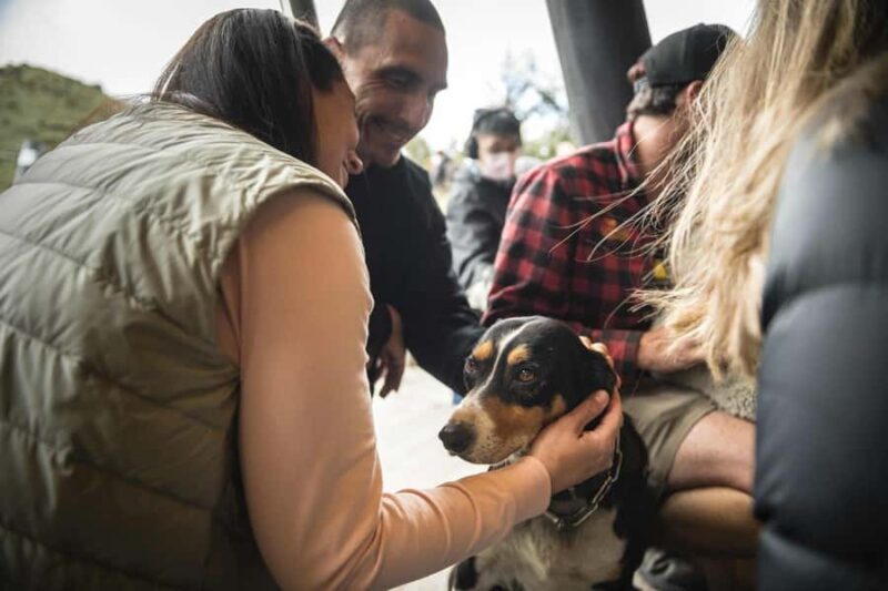 Queenstown: Lake Cruise to Walter Peak Farm with BBQ Buffet - FAQs