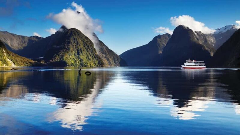 Queenstown: Milford Sound Day Trip - Cruise & Picnic Lunch - Key Points