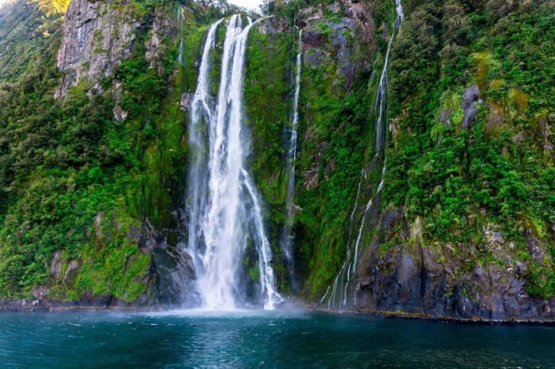 Queenstown: Milford Sound Private Tour - A Deep Dive into the Milford Sound Private Tour