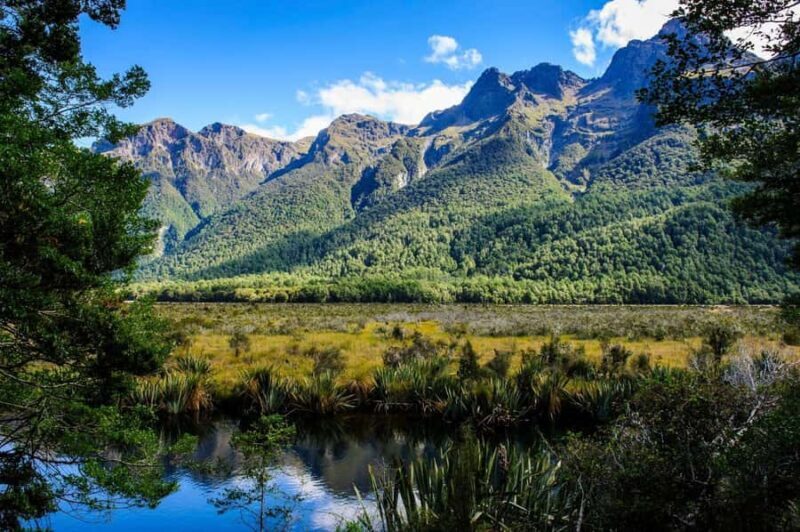 Queenstown: Milford Sound Private Tour - FAQ