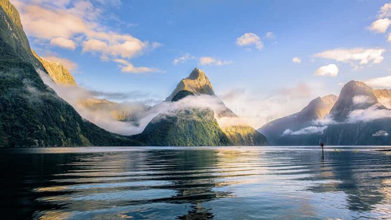 Queenstown: Milford Sound Small-Group Tour w Cruise & Lunch - An In-Depth Look at the Milford Sound Tour