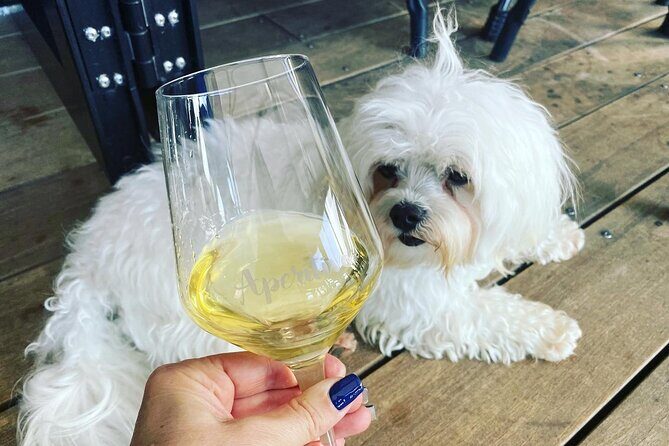 Queenstown More Than A Wine Tour - Who Is This Tour Best For?