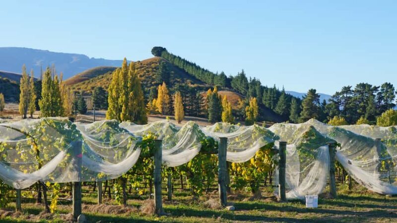 Queenstown: Private 3 Days Trip to Glenorchy Wanaka & Tekapo - The Sum Up