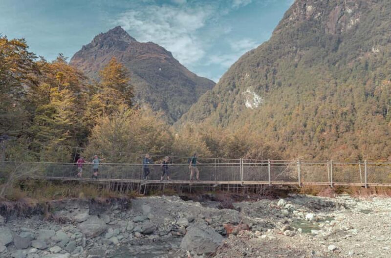 Queenstown: Routeburn Track Guided Full-Day Walk or Half Day - Key Points