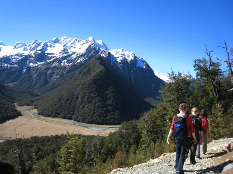 Queenstown: Routeburn Track Guided Full-Day Walk or Half Day - What You Can Expect from the Tour