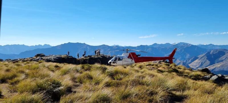 Queenstown: Scenic Alpine Heli-Flight - What Makes This Tour Stand Out?