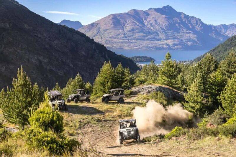 Queenstown: Self Drive Guided Buggy Tour - FAQ