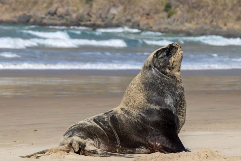 Queenstown: Southern Highlights 3 Days & 2 Nights - What Makes This Tour Stand Out?