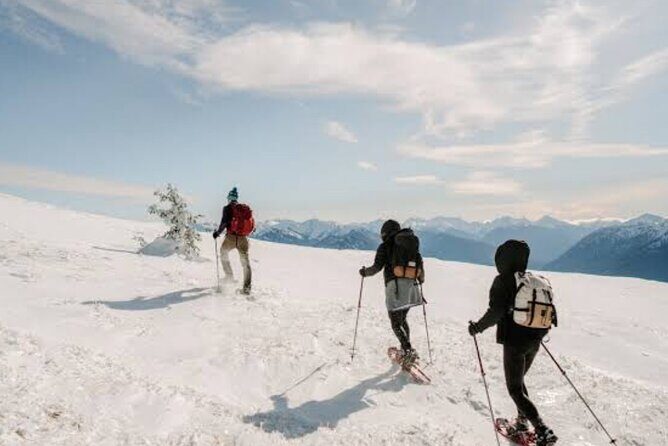 Queenstown to Cardrona Snow Farm Tour - Key Points