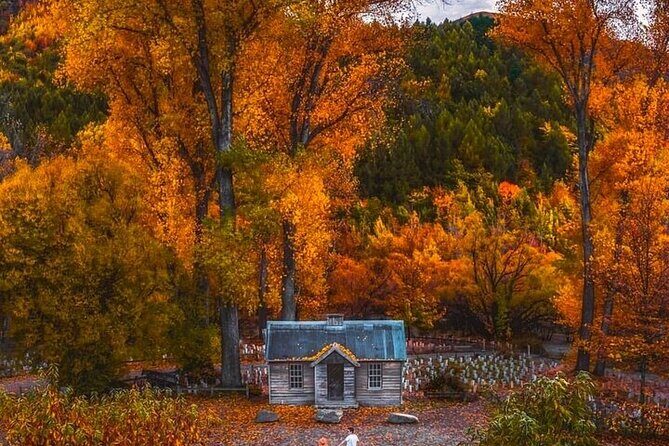 Queenstown to Christchurch One Way Tour Via Lake Tekapo & Mt Cook - Introduction to the Tour Experience