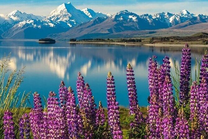 Queenstown to Christchurch One Way Tour Via Lake Tekapo & Mt Cook - Final Thoughts: Who Will Love This Tour?