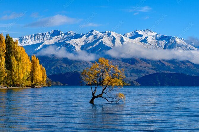 Queenstown to Christchurch via Franz Josef 2-Day Small-Group Tour - A Deep Dive Into the Itinerary