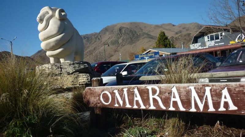 Queenstown to Christchurch via Mt Cook One-Way Tour - Pricing & Value