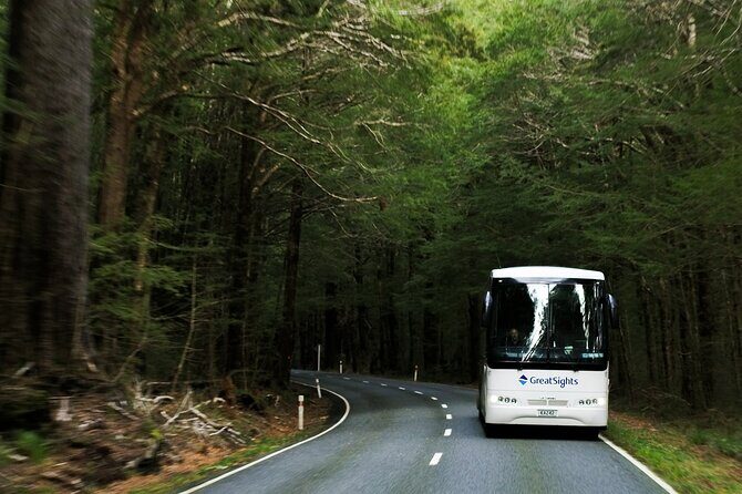 Queenstown to Franz Josef Day Tour - Who Would Love This Tour?