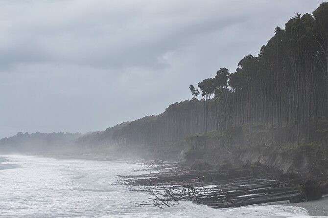 Queenstown to Franz Josef Day Tour - Final Thoughts