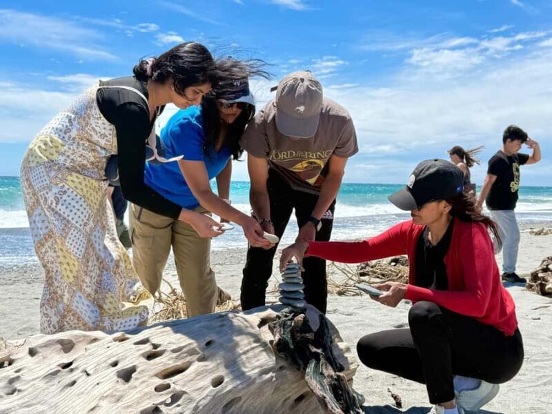 Queenstown to Franz Josef small group tour (one-way) - Key Points