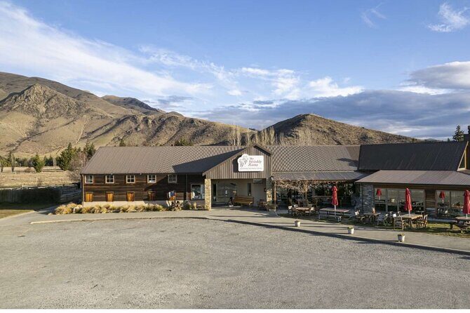 Queenstown to Lake Tekapo via Mt Cook Private Day Tour - An In-Depth Look at the Route and Experience