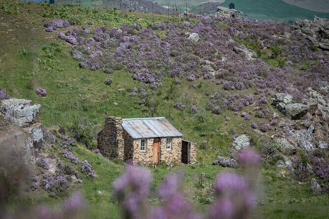 Queenstown to Middlemarch via Cromwell Small-Group Tour (One-Way) - FAQ