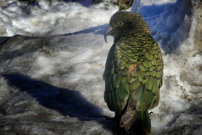 Queenstown to Mt Cook Small Group Tour (One-Way)