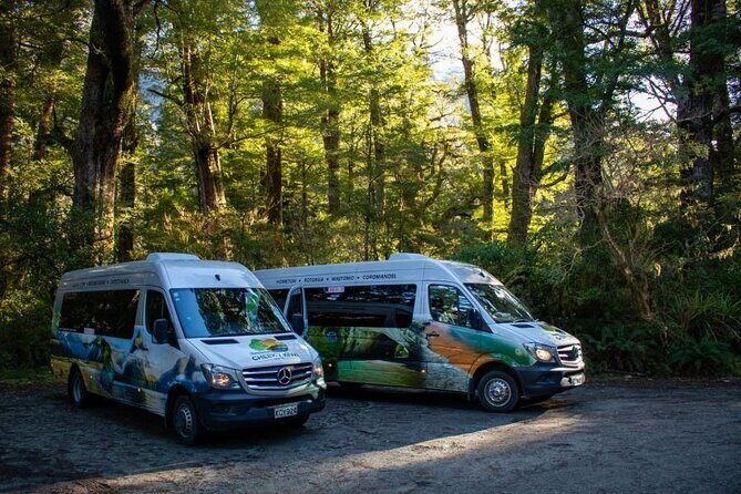 Queenstown to Te Anau via Milford Sound inc Cruise & Lunch - Is It Worth the Cost?