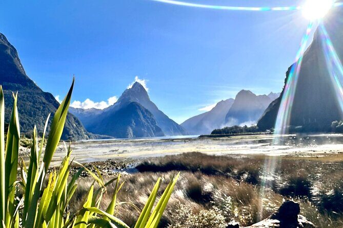 Queenstown to Te Anau via Milford Sound inc Cruise & Lunch - Practical Tips for Travelers