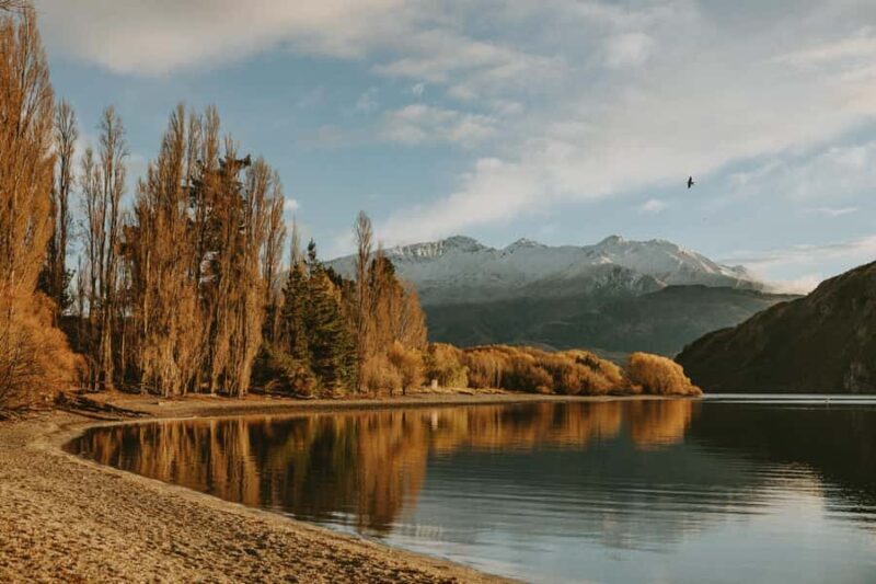 Queenstown to Wnaka One Way Small Group Tour - Transportation and Group Dynamics