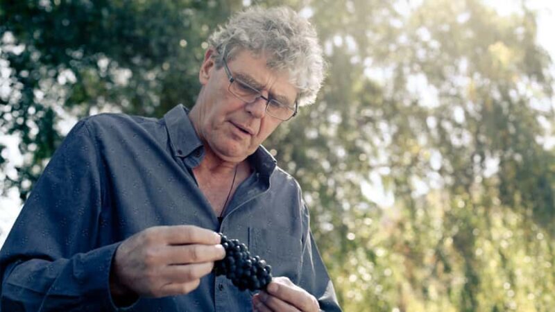 Queenstown: Valli Wine Tasting Experience - Key Points