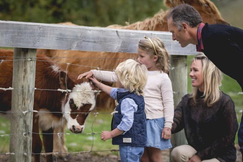 Queenstown: Walter Peak Farm Tour and Lake Cruise - Practical Details and Why They Matter