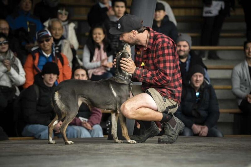 Queenstown: Walter Peak Farm Tour and Lake Cruise - Why This Tour Works Well for Travelers