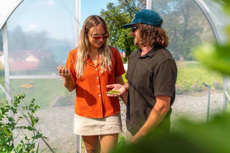 Queenstown: Walter Peak Garden to Table Experience - An Honest Look at the Queenstown Walter Peak Garden to Table Experience