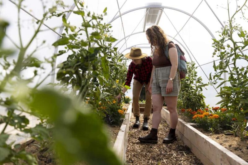 Queenstown: Walter Peak Garden to Table Experience - FAQs