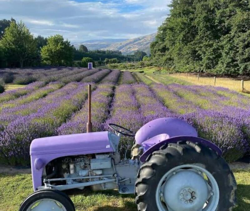 Queenstown: Wanaka & Arrowtown Guided Private Day Tour - Who Is This Tour Best For?