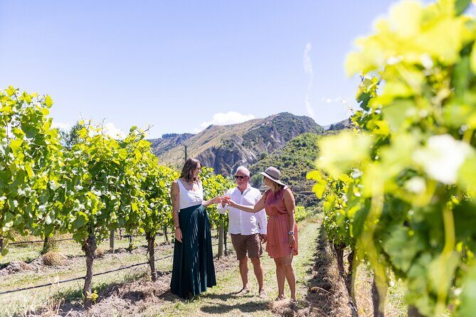 Queenstown Wine Tour - Who Should Book This Tour?