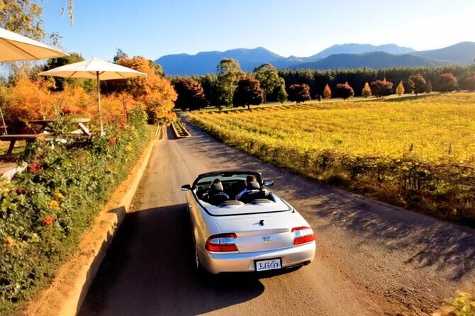 Queenstown Wine Tour - Self Guided Audio Tour (Driving) - Final Thoughts