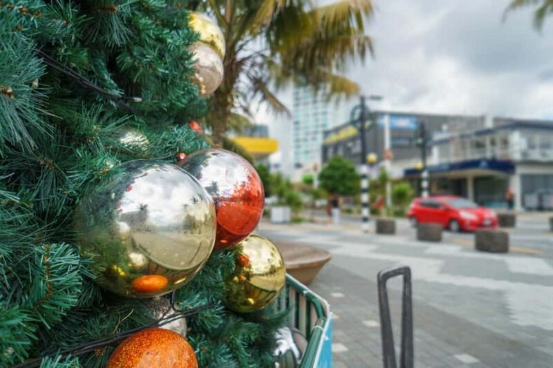 Queenstown Winter Private Walk: Enchanted Holiday Magic - The Waterfront: Lakeside Caroling and Reflection  