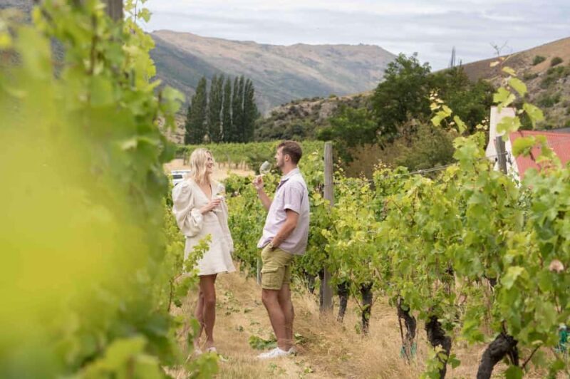 Queenstown's Original Wine Tour Celebrating 33 Years - Introduction