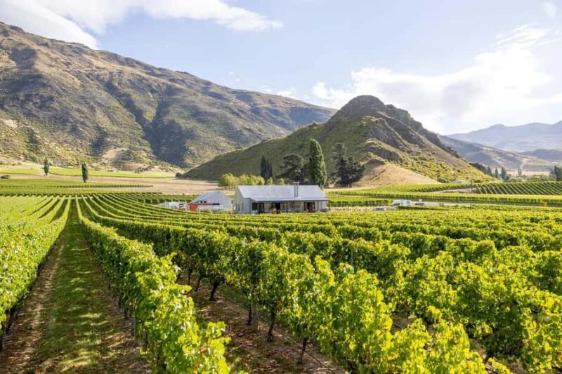 Queenstown's Original Wine Tour Celebrating 33 Years - Authentic Reviews and Insights