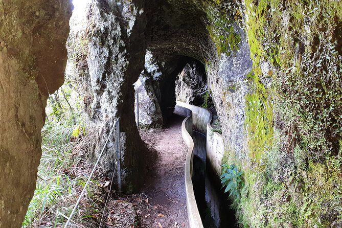 Queimadas-Caldeirão Verde - Exploring Madeira’s Natural Wonder: Queimadas-Caldeirão Verde
