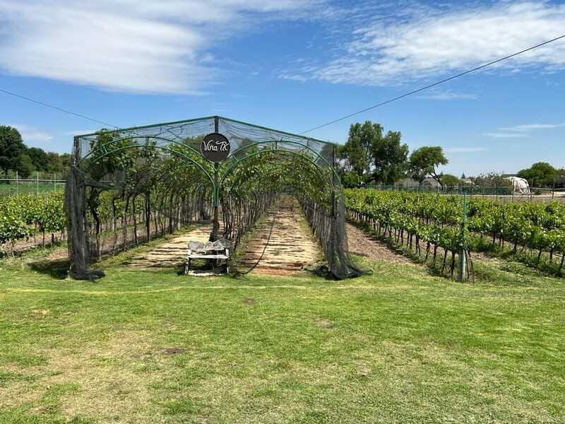 Querétaro: Cheese & Wine Tour In A Day - FAQ