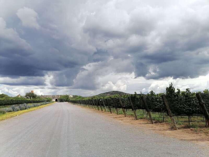 Querétaro: Hacienda Atongo Experience Tour - Key Points