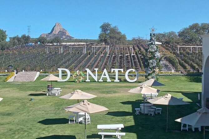 Queretaro Wine Experience - In-Depth Review of the Queretaro Wine Experience