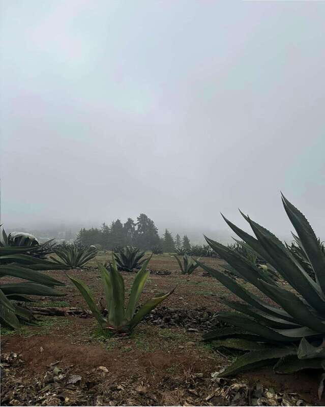 Quetzalapan + Chignahuapan: visit the sphere factory and its surroundings - FAQ