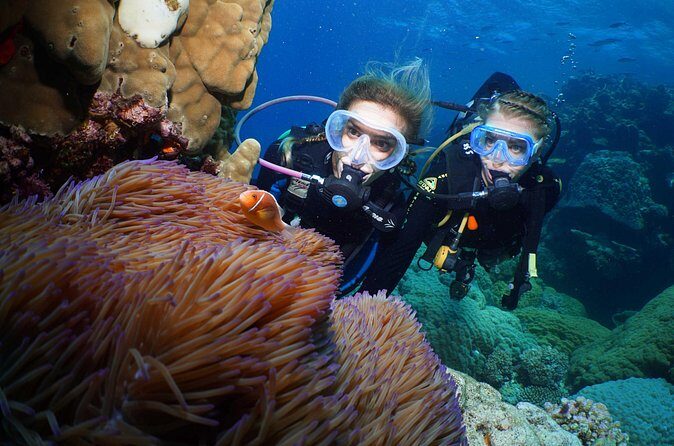 Quicksilver Dive 4 Day PADI Learn to Dive Course - The Sum Up: Who Should Consider This Course?
